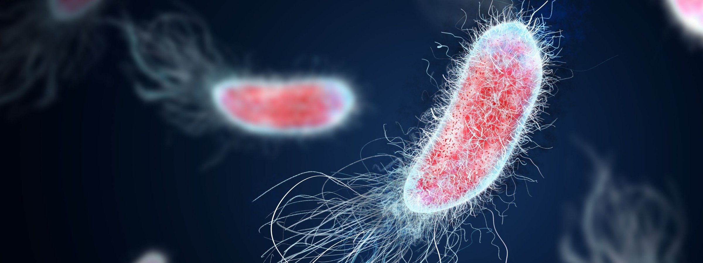 A Comprehensive Approach to Recurrent UTIs