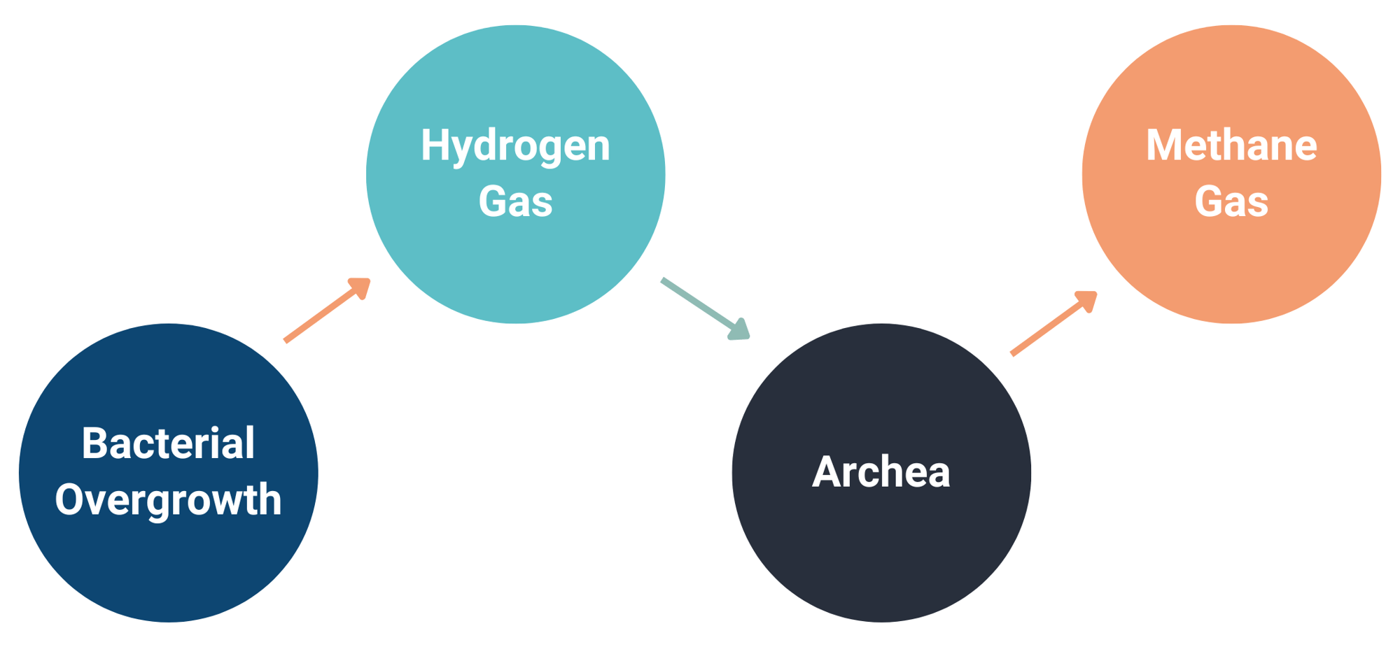 Demystifying SIBO for Functional Medicine Practitioners