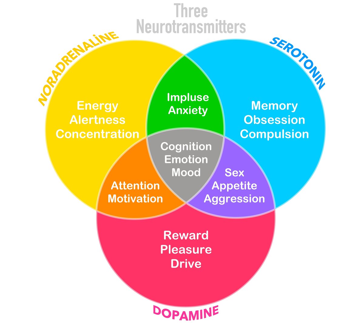 What Are Neurotransmitters and Why Do They Matter?