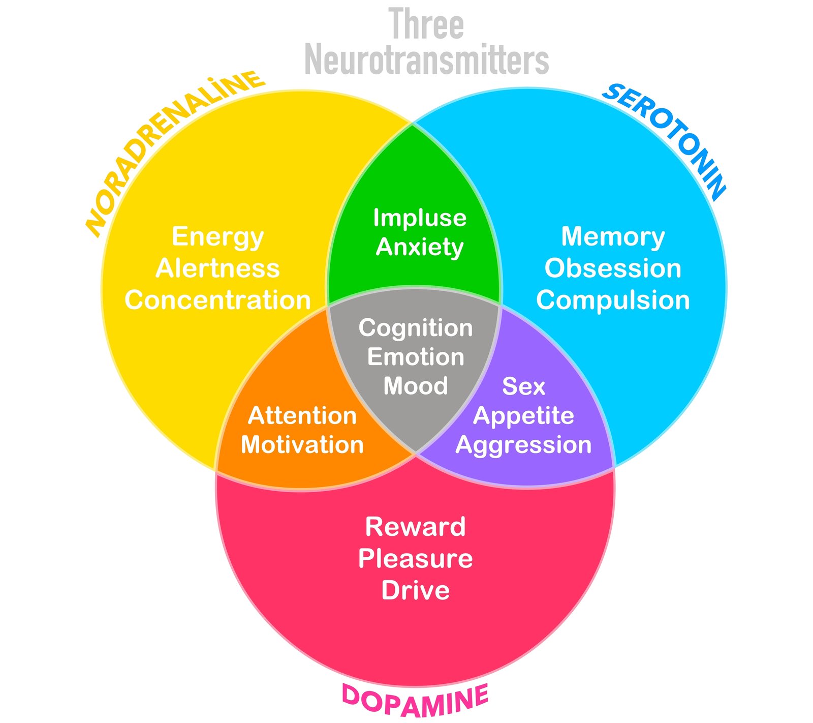 What Are Neurotransmitters and Why Do They Matter?