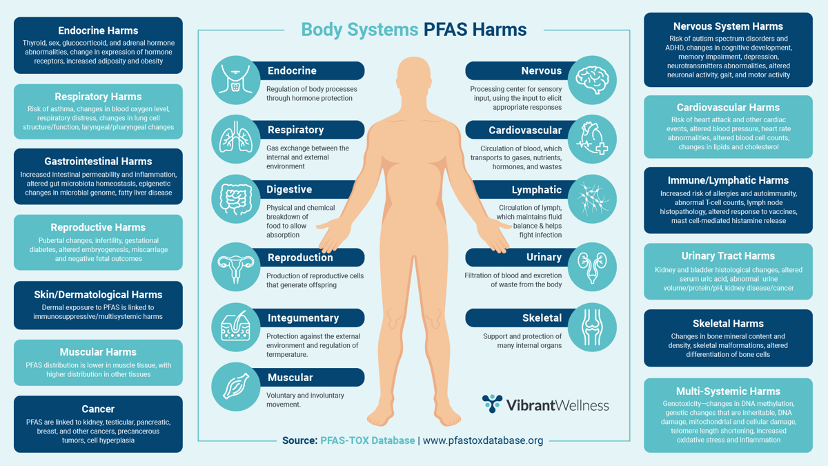 Introduction to PFAS Chemicals
