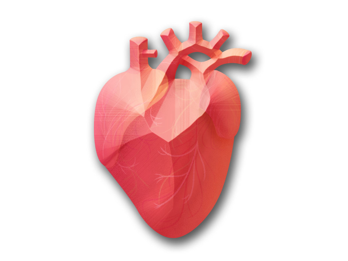 Comprehensive Cardiac Risk Panel Testing | Vibrant Wellness