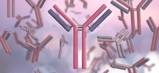 Understanding Causes of Low & High Total Immunoglobulins