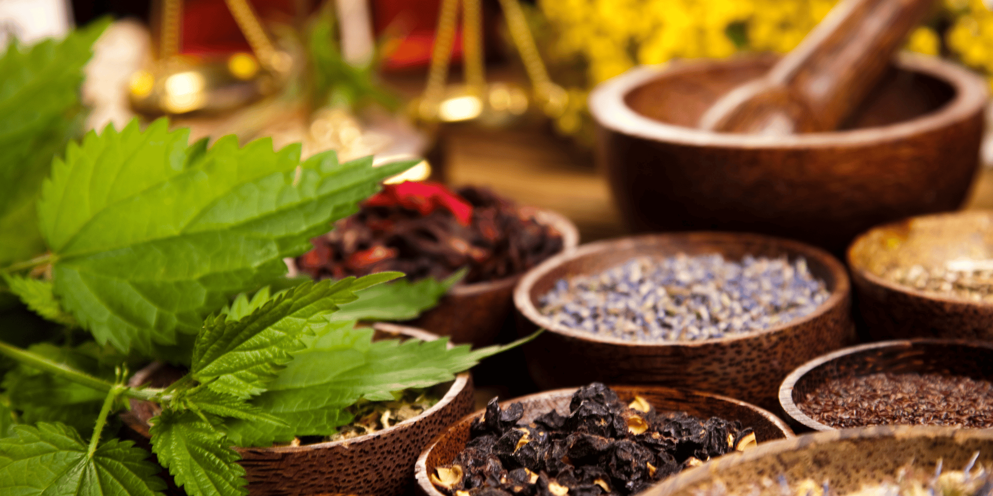 Demystifying SIBO for Functional Medicine Practitioners
