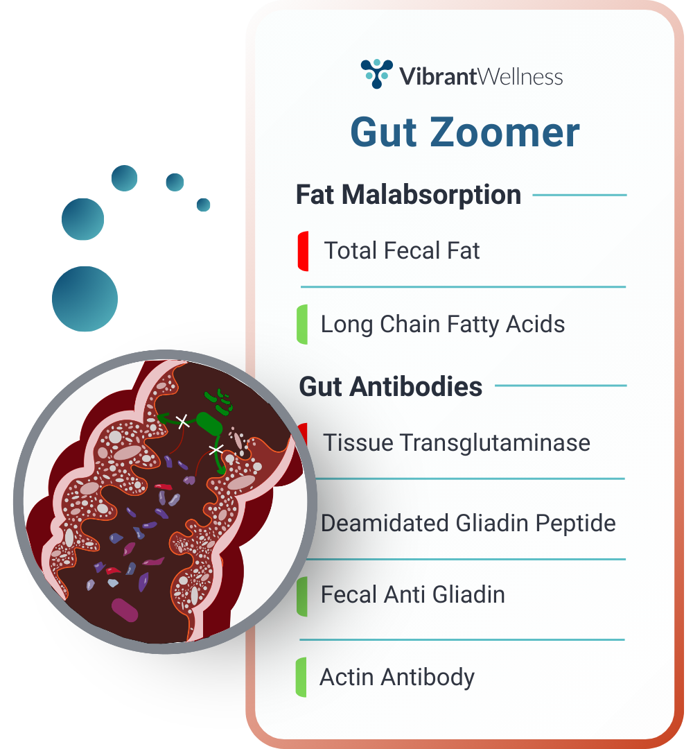 Patient Resources for Lab Testing | Vibrant Wellness