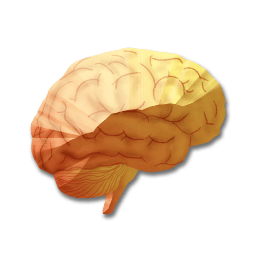 Neural Autoimmunity & Brain Health Panel | Vibrant Wellness