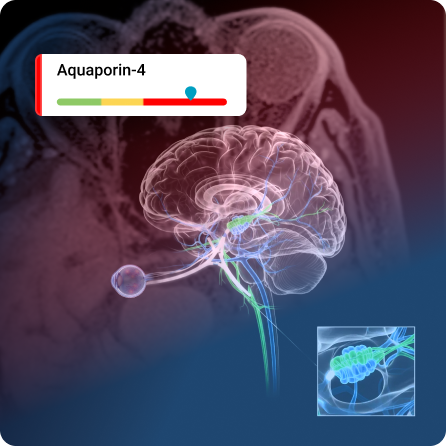 Neural Zoomer | Neural Autoimmunity & Brain Health | Vibrant Wellness