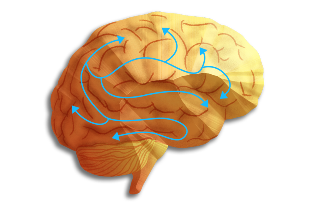 Neural Autoimmunity & Brain Health Panel | Vibrant Wellness