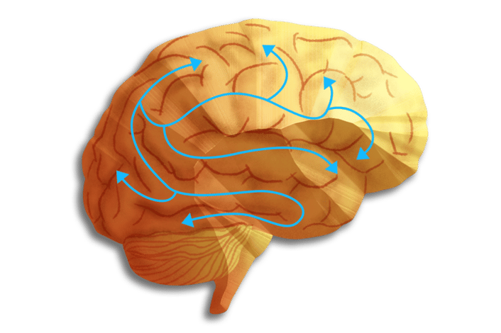 What Are Neurotransmitters and Why Do They Matter?