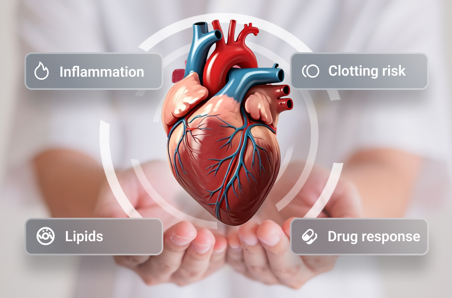 Introducing Cardio Zoomer + Cardio Genetics: Redefining Precision in ...