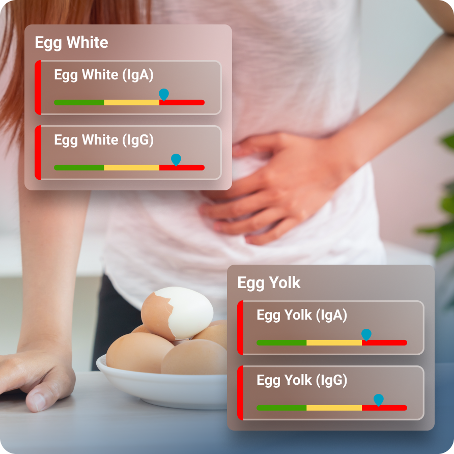 Food Zoomer | Complete Food Sensitivity Testing | Vibrant Wellness