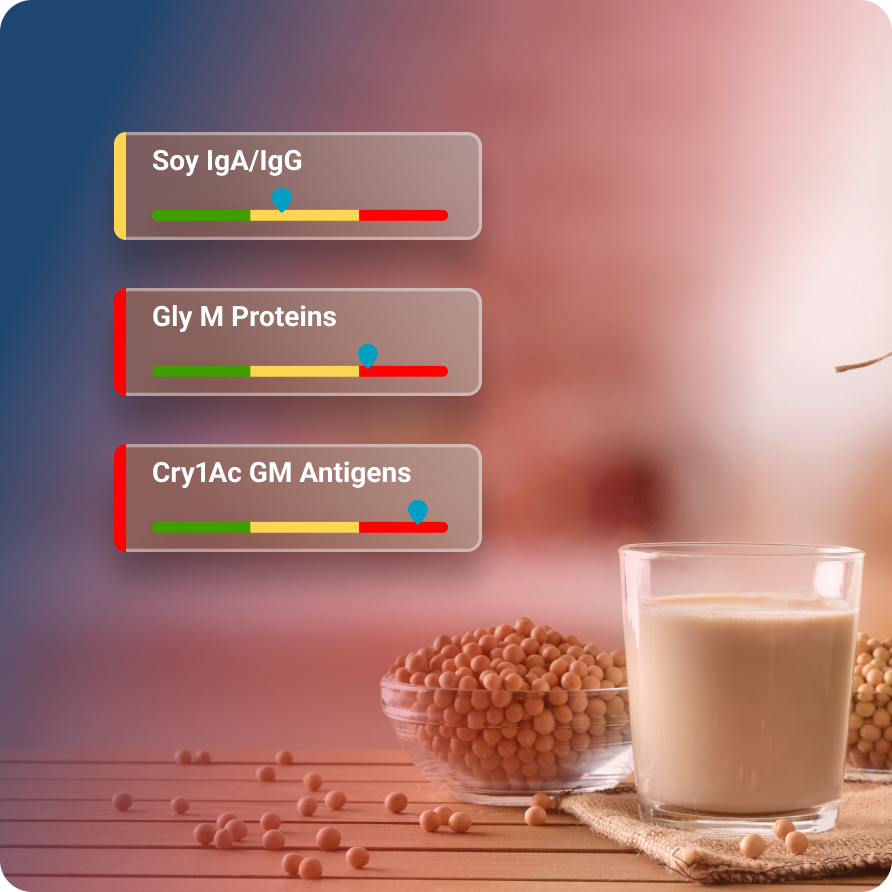 Food Zoomer | Complete Food Sensitivity Testing | Vibrant Wellness