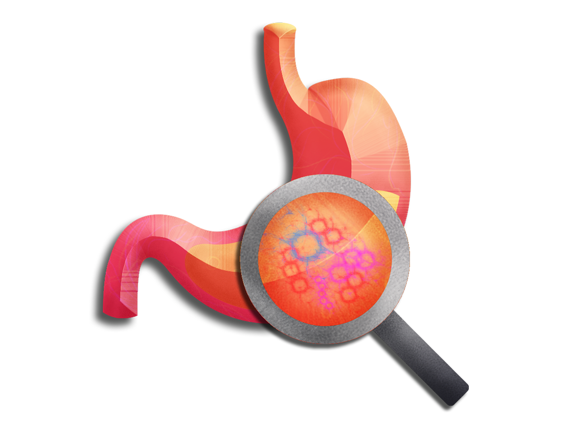 Total Toxic Burden & Environmental Panel | Vibrant Wellness