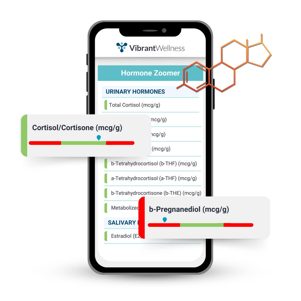 The New Gut Zoomer: Advanced Gut Microbiome Testing for Integrative Health