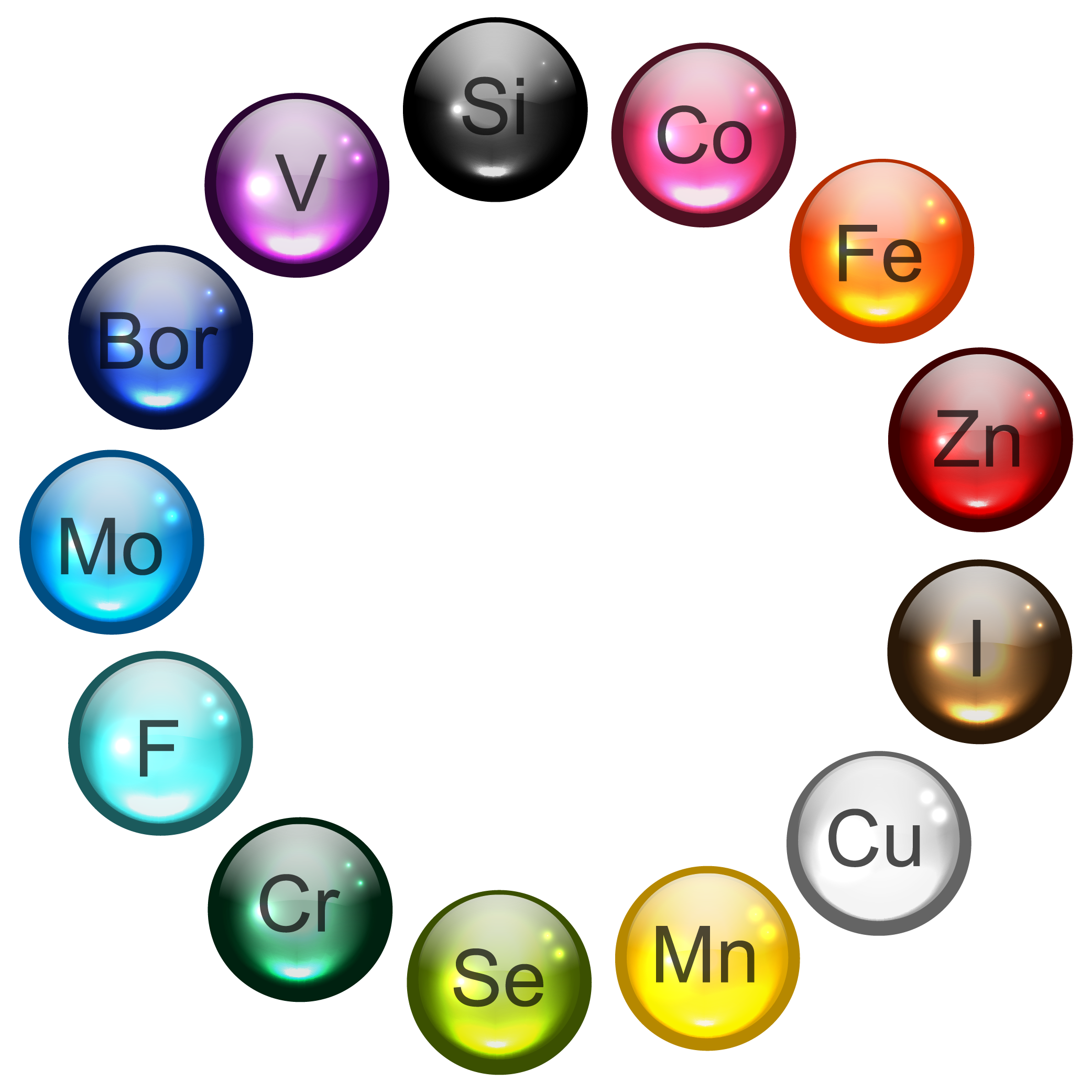 Comprehensive Cardiac Risk Panel Testing | Vibrant Wellness