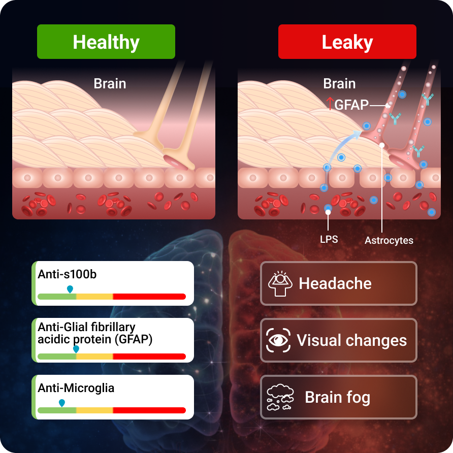 Neural Zoomer | Neural Autoimmunity & Brain Health | Vibrant Wellness