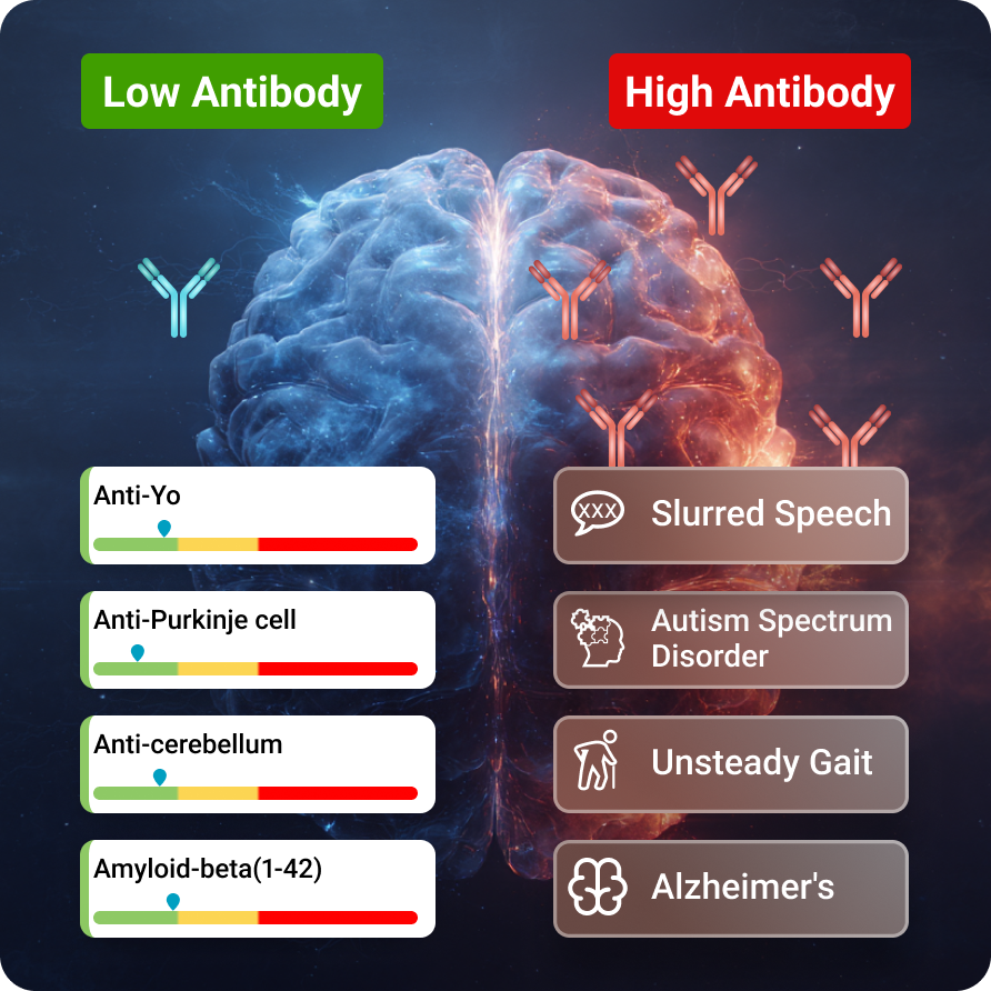 Neural Zoomer | Neural Autoimmunity & Brain Health | Vibrant Wellness