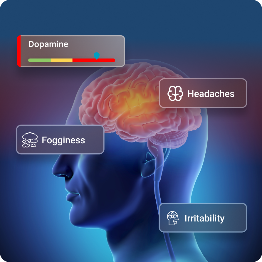 Neural Zoomer | Neural Autoimmunity & Brain Health | Vibrant Wellness