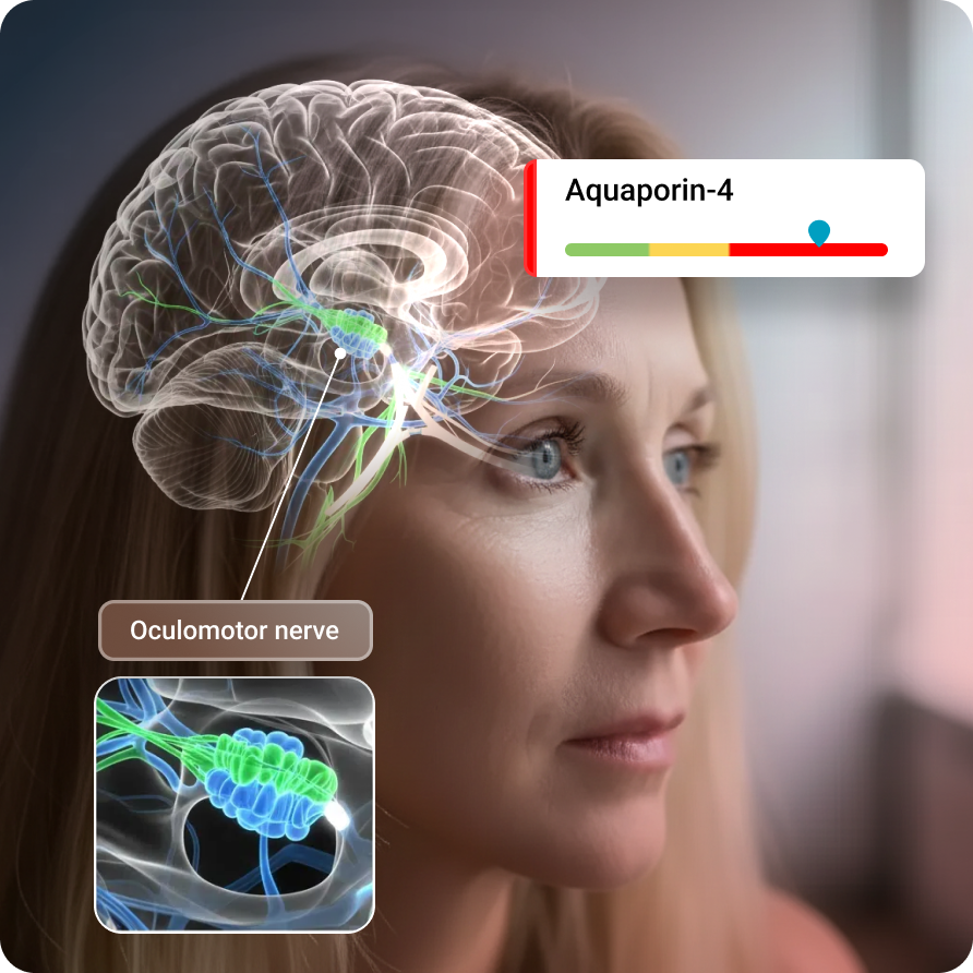 Neural Zoomer | Neural Autoimmunity & Brain Health | Vibrant Wellness