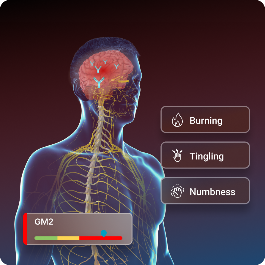 Neural Zoomer | Neural Autoimmunity & Brain Health | Vibrant Wellness