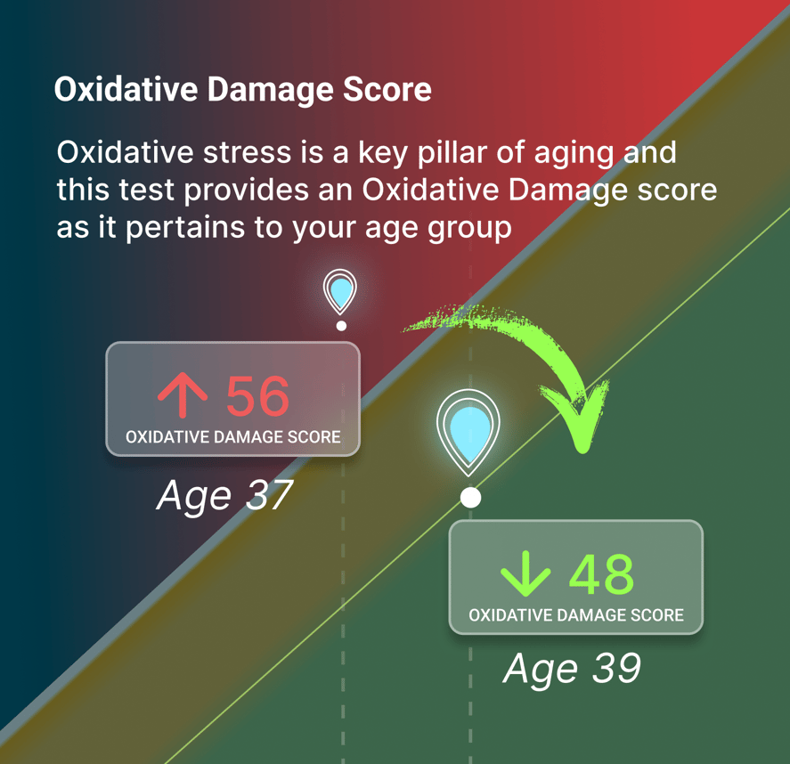 Comprehensive Cardiac Risk Panel Testing | Vibrant Wellness