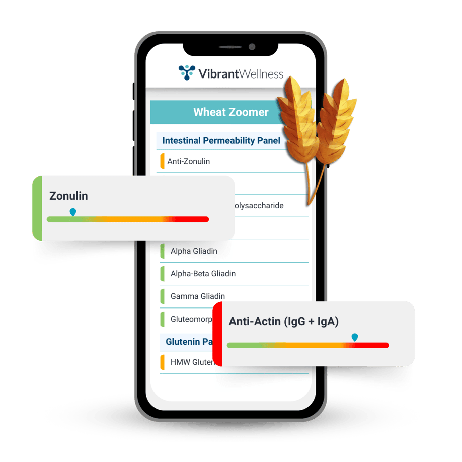 Low Pancreatic Elastase: The Hidden Factor Behind Poor Nutrient ...