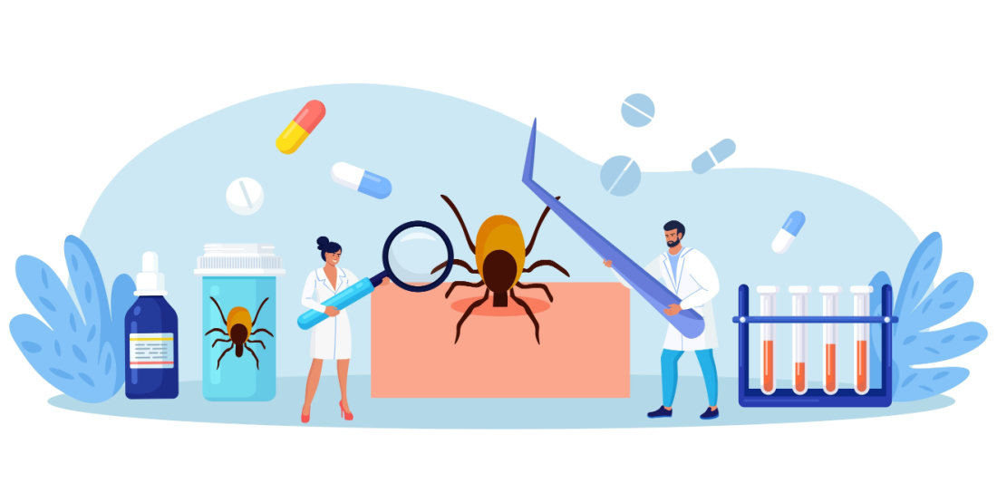 Chronic Lyme Disease & Neurological Symptoms: What You Need to Know