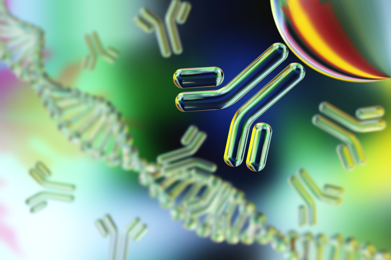 Exploring the Link Between Lyme Disease and Autoimmune Disorders