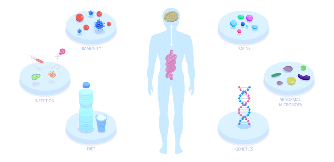 Understanding Gut Health: A Guide to Microbiome Testing