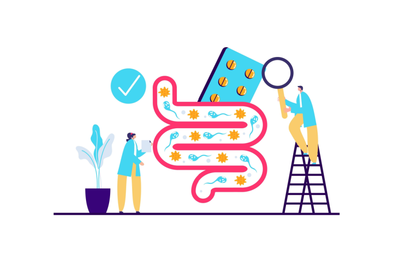 Understanding Gut Health: A Guide to Microbiome Testing