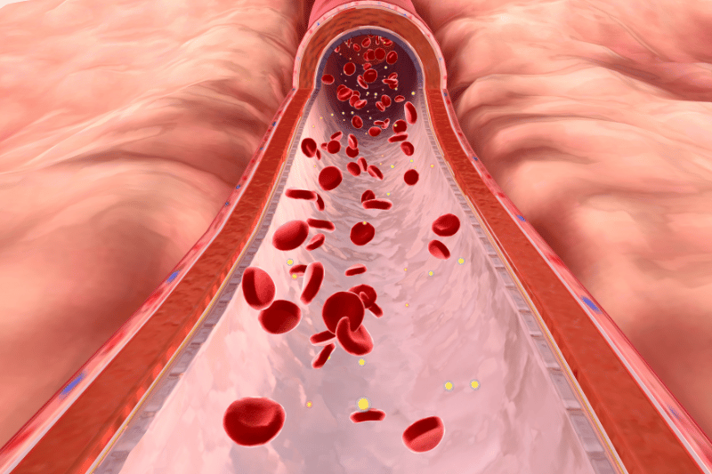 Research Spotlight: The Link Between Omega Fatty Acids & Cardiovascular ...