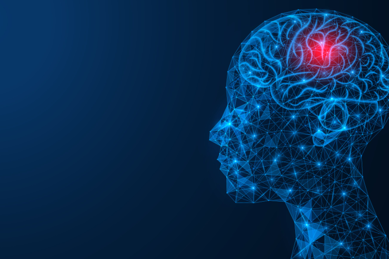 Chronic Lyme Disease & Neurological Symptoms: What You Need to Know