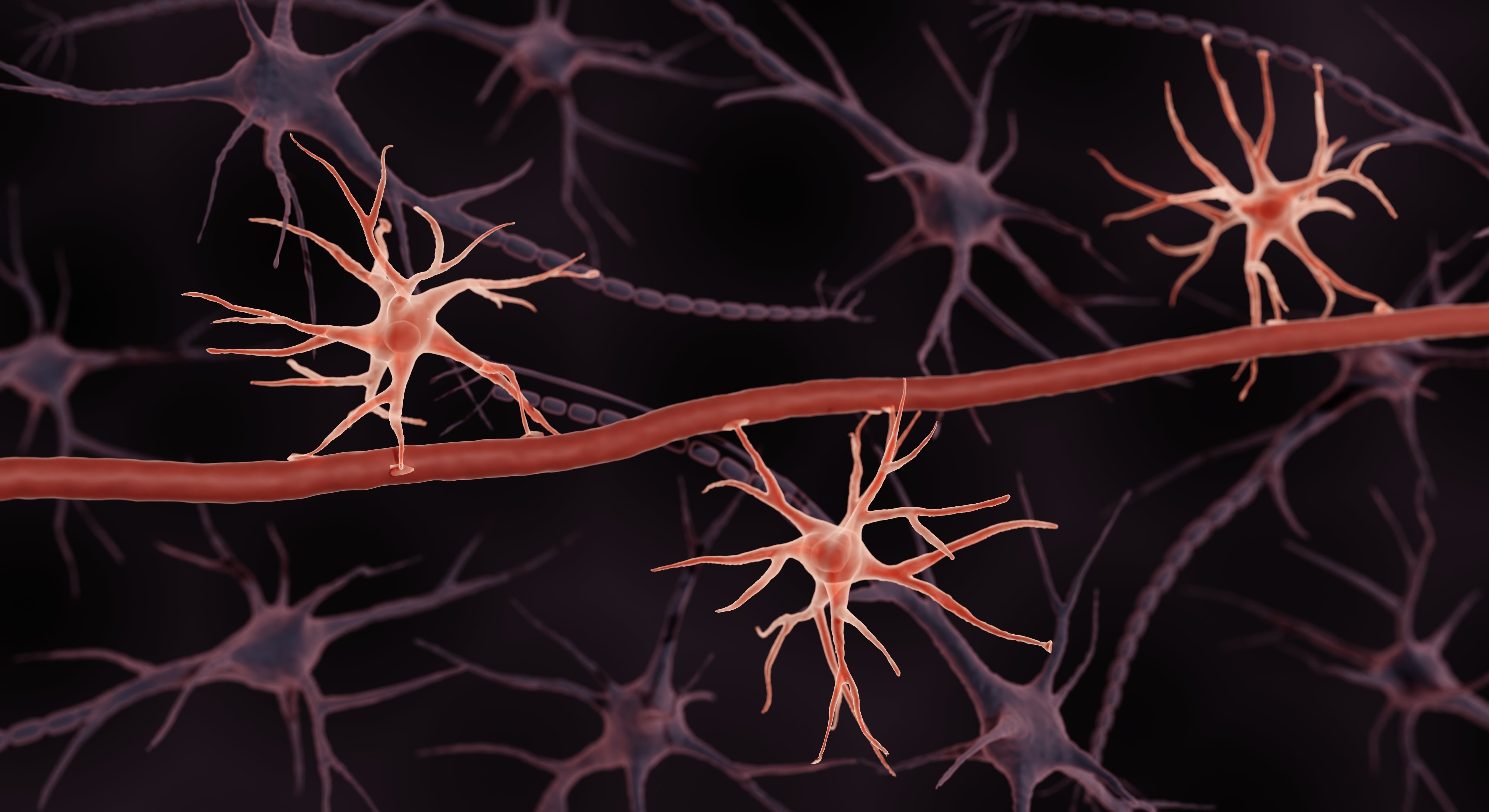 How PFAS and Microplastics Impact Brain Health and Mental Function