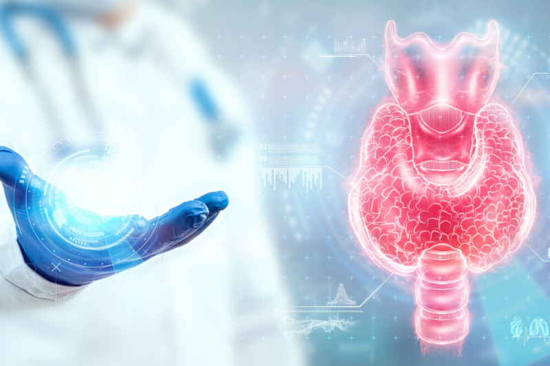 Research Spotlight: Anti-TPO as an Early Predictive Marker in Thyroid ...