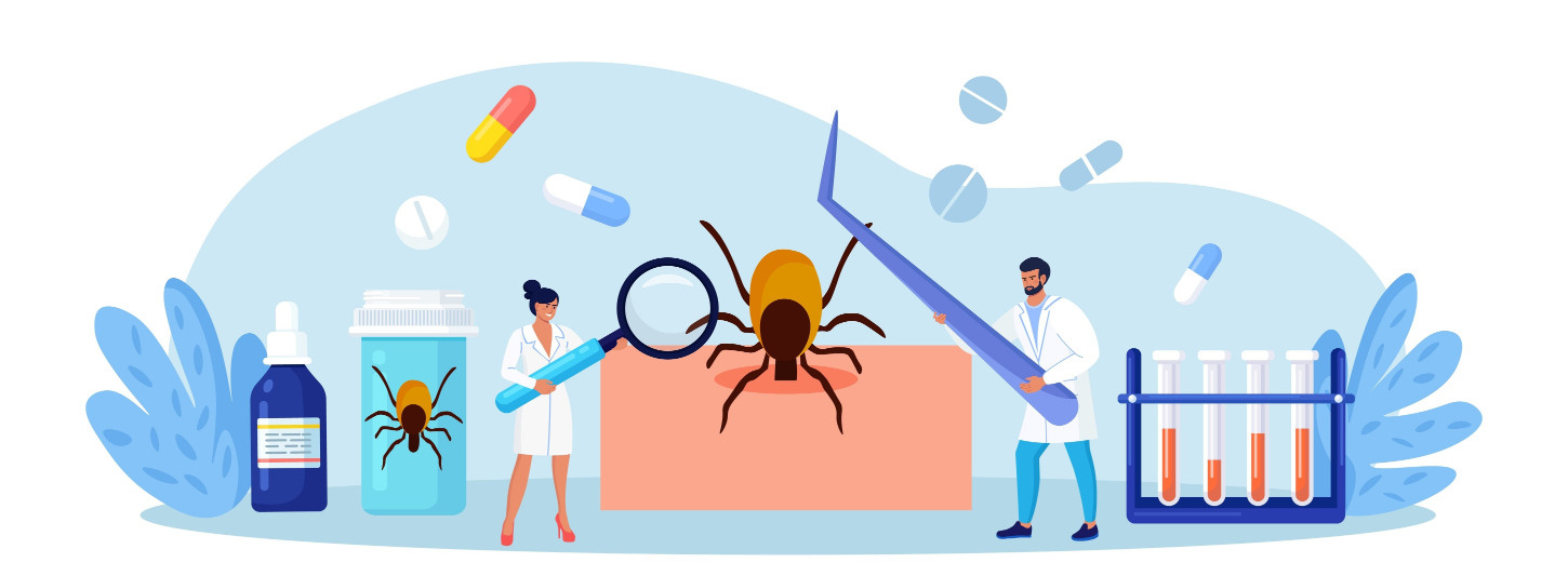 The Link Between Tick Bites & Autoimmune Diseases: What You Need to Know