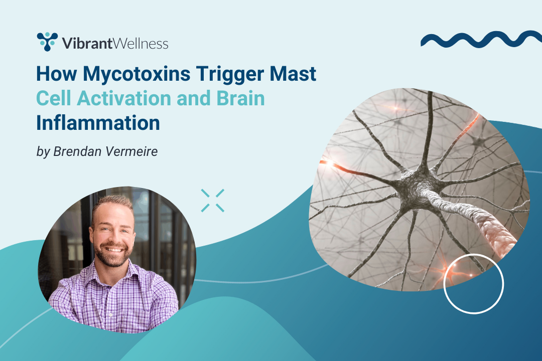 How Mycotoxins Trigger Mast Cell Activation and Brain Inflammation